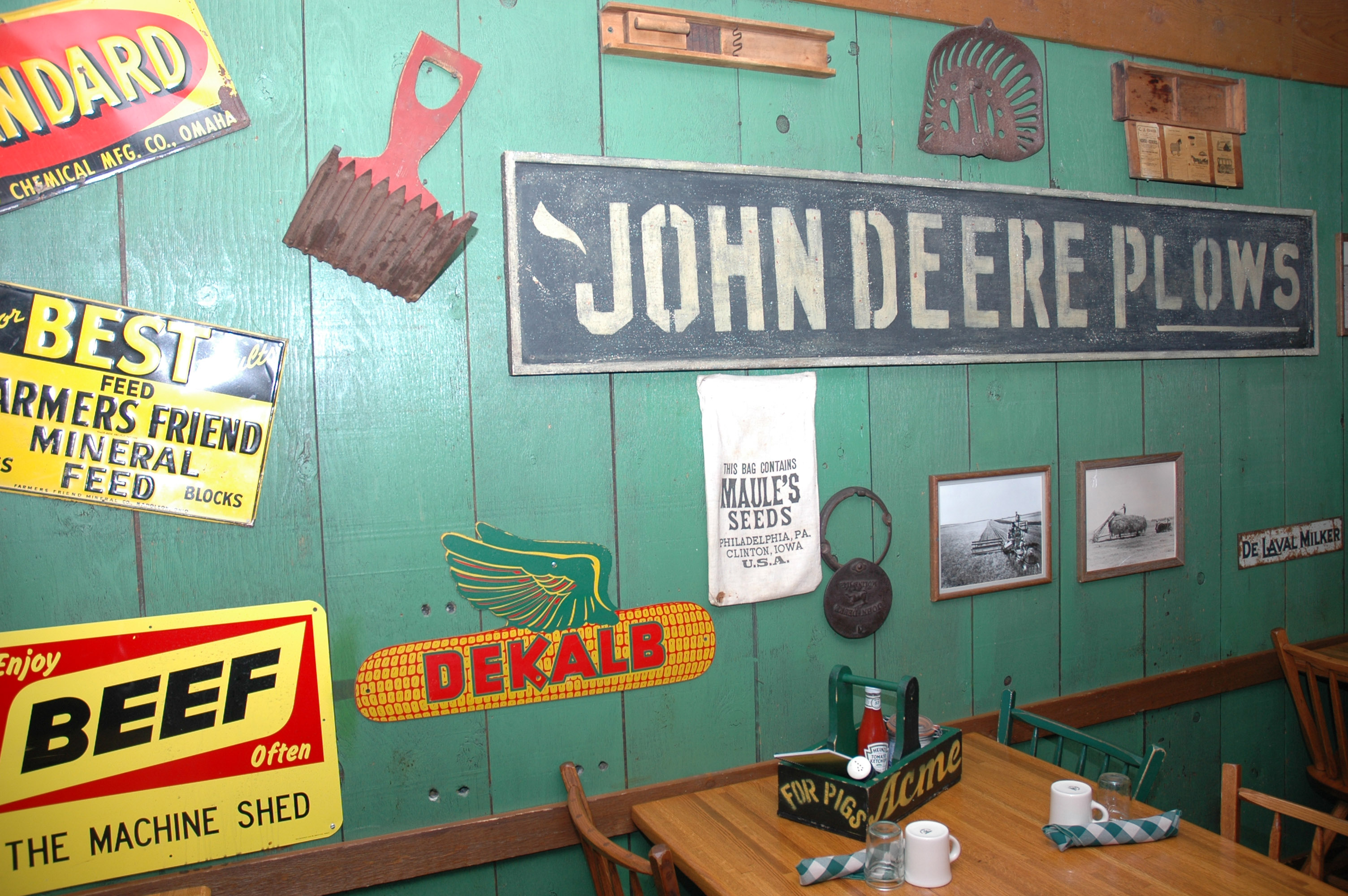 Amelia Lynch - The Everyday Journey What The Hell Happened to The ...